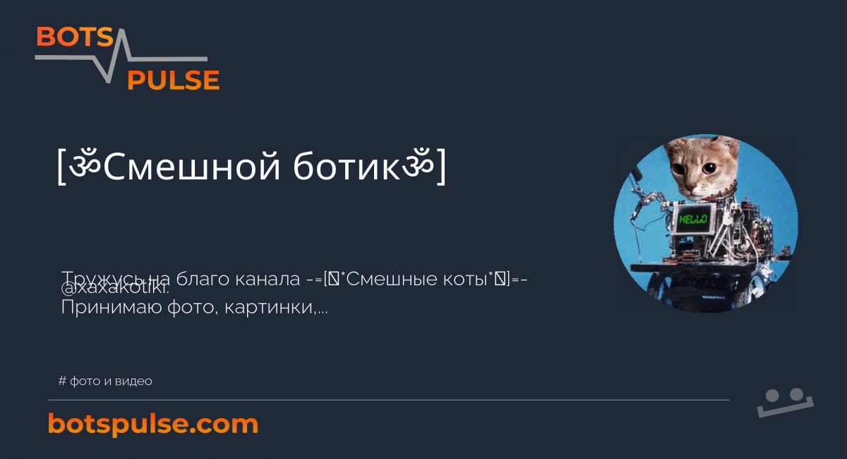Телеграм бот - [ॐ☭Смешной ботик☭ॐ] - полезные боты на BotsBase 2021